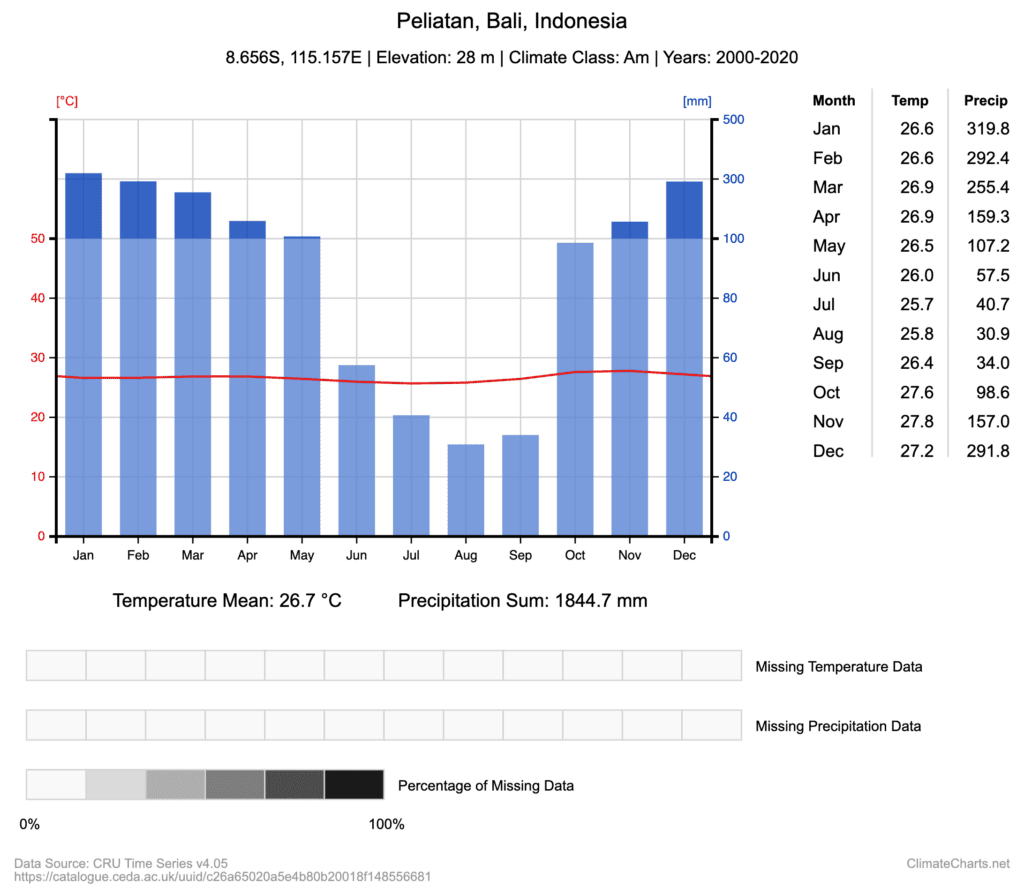 Single-Entry Touristen Visum Indonesien